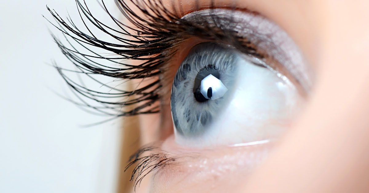 Schema di Hess-Lancaster | Studio Oculistico Pascotto